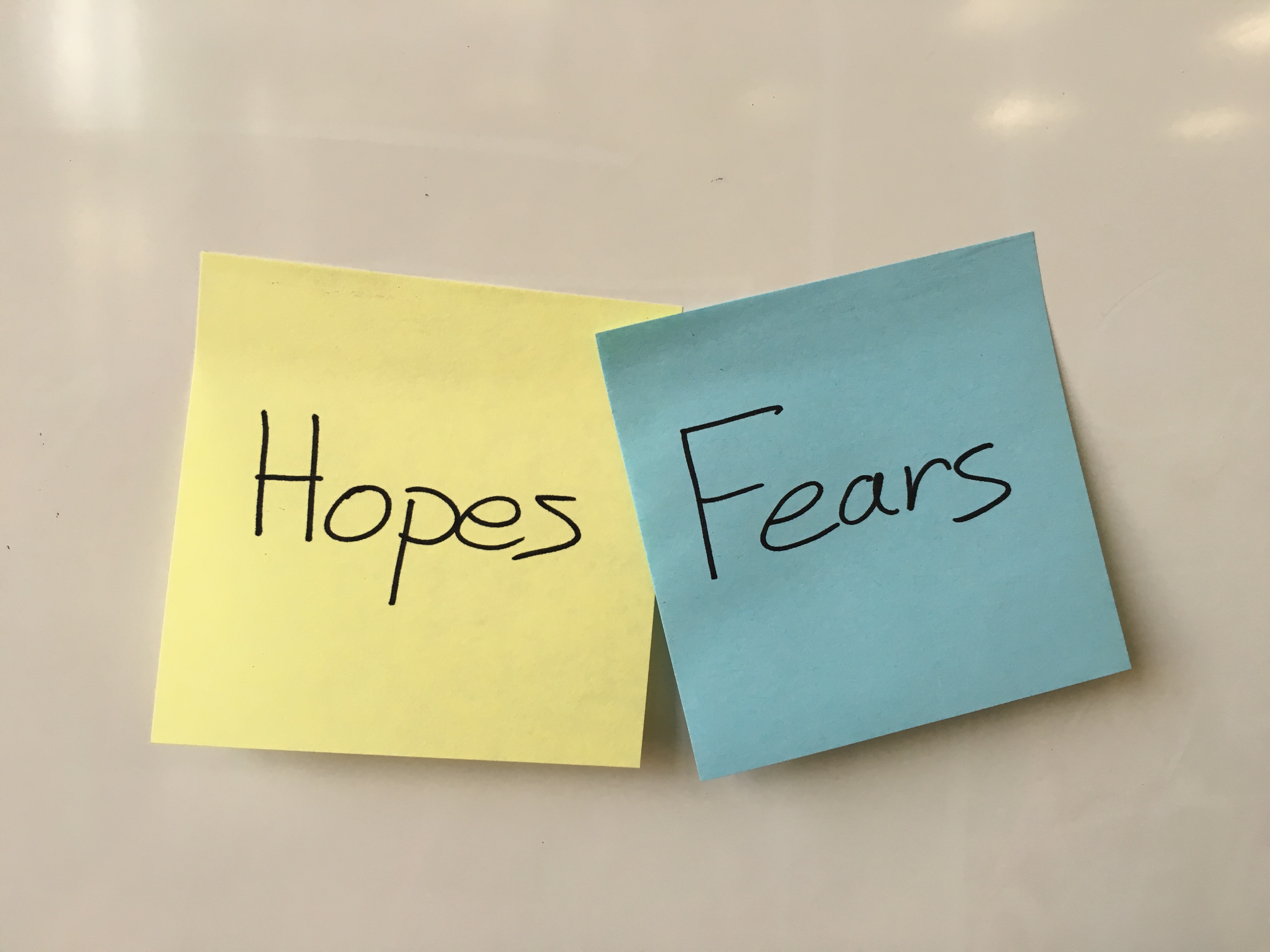 Design Thinking Toolkit - Unite your Team with "Hopes & Fears"