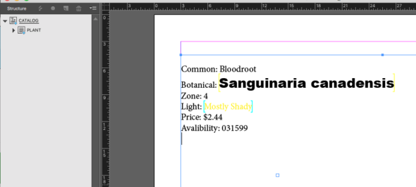 Creating a Dynamic Catalog with InDesign Templates & XML Data