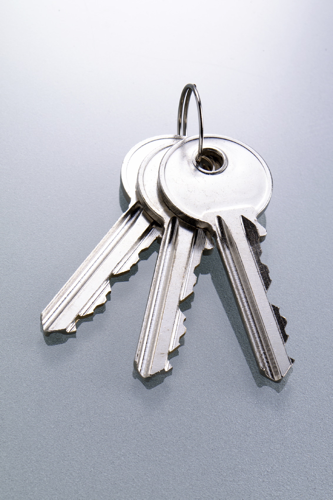 iOS Keychain Entitlements for Using RedLaser in RubyMotion