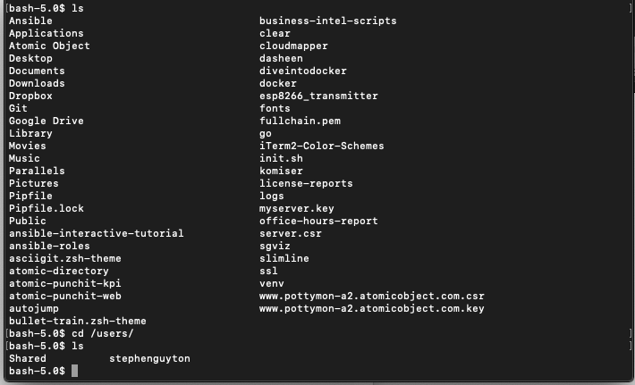 Why Z Shell Is the Best Choice for Beginners