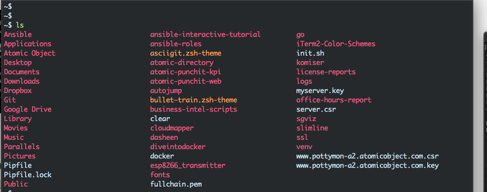 Why Z Shell Is the Best Choice for Beginners