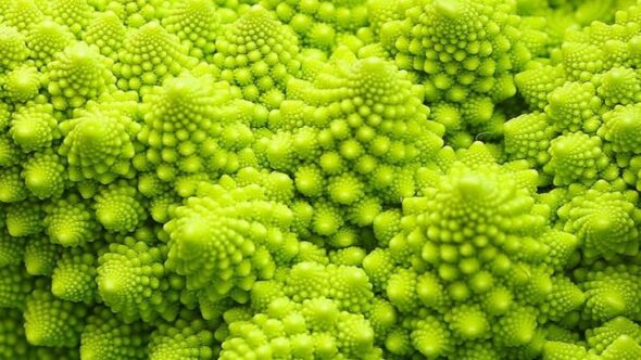 Generative Art: Dive Deeper and Add Complexity with Recursion