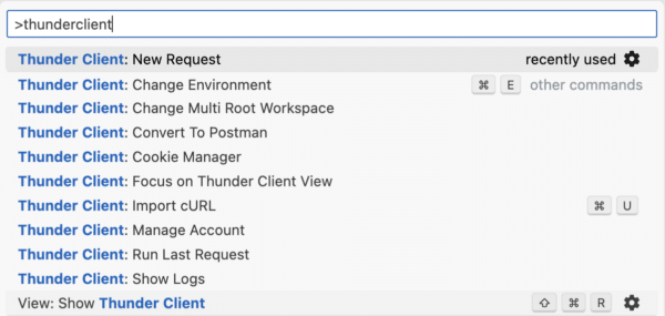 Thunder Client: A Great Alternative to Postman